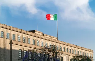 The consequences of the new Mexican rules | World IP Review